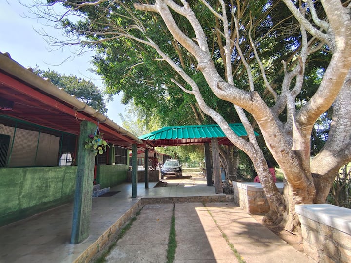 Bandipur Farm House - Bandipur