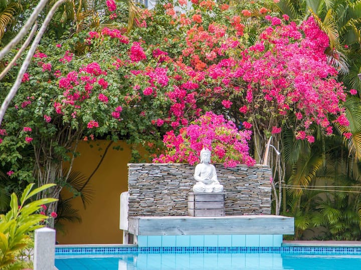Villa Tortuga In Olas De Oro, Cabarete - カバレテ