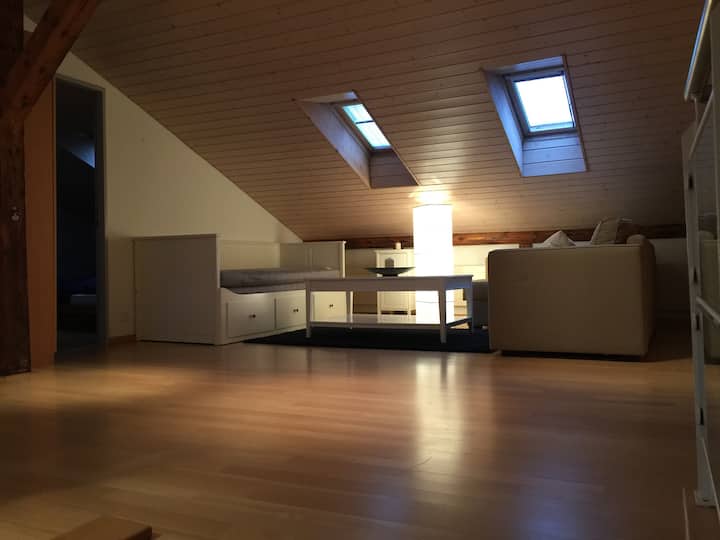 Cosy, Luxury Penthouse Basel-city - Basilea