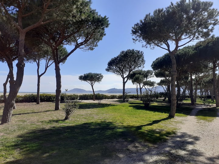 Appartement Rénové Bord De Mer, Calme, Bien Placé. - Argelès-sur-Mer