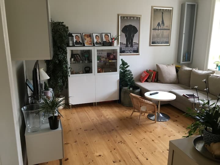 Lys, Ren Og Røgfri - Copenhagen