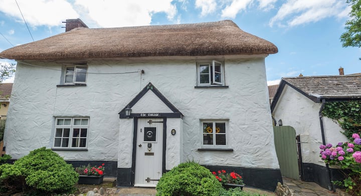 Thatch Cottage Braunton - Barnstaple