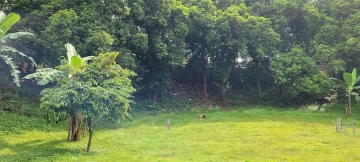 Farm Stay Getaway Close To Matabungkay - Lian