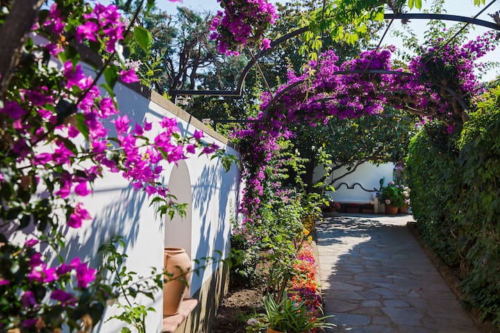 • Silent Villa In Anacapri Center • - Capri