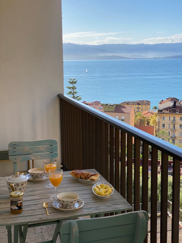 Ajaccio Grand T2 Vue Mer Terrasse, Calme, Clim - Corse