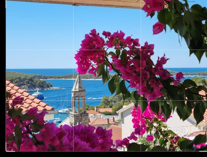 The Pink One - Hvar