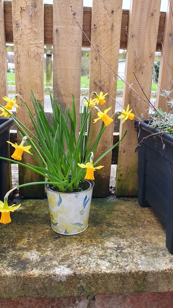 Easter Primrose Cottage, Longleat, Frome, Bath - Warminster