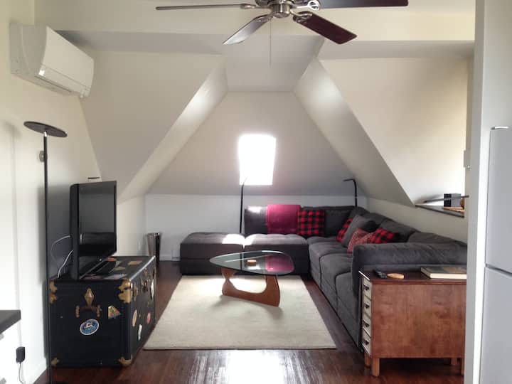 Renovated Victorian Home  With Modern Appeal - Detroit, MI