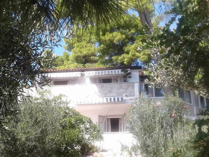 Villa Vesna-lavanda,more,lemon,principessa,minnie - Jelsa