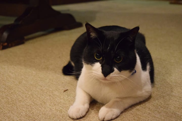 ペンション スヌーピー - Aso