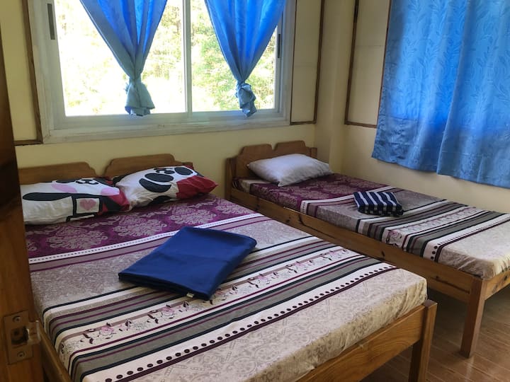Dad's Homestay: Rooms For Solo, Couple, Or Family - Sagada