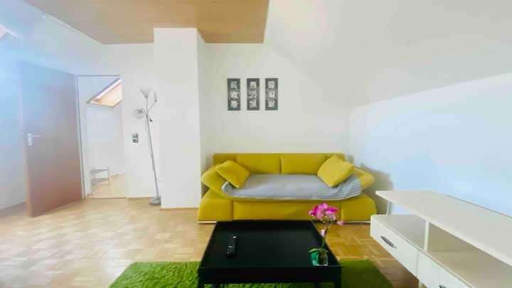 Cozy And Bright  Apartement With Balcony - Roth