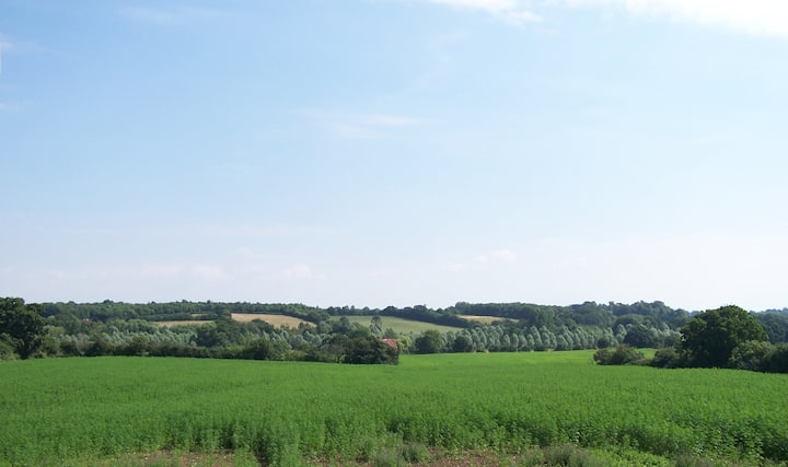 Last Shed Meadow- Wild Camping - Framlingham