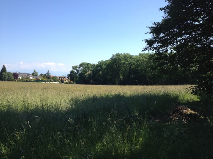 Trailer , Auberge Social,ch - Divonne-les-Bains