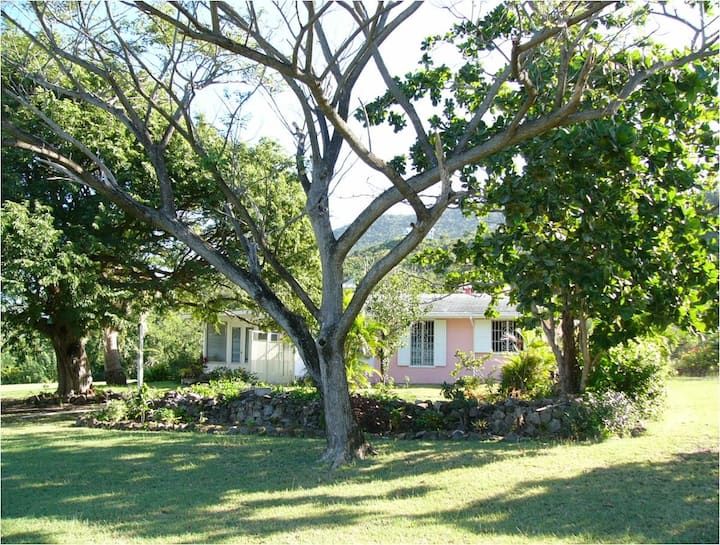 Villa Flamboyant - Saint Kitts and Nevis