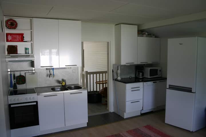 Savonlinna, Nice Room, 2 Beds, Kitchen, Bathroom - Savonlinna