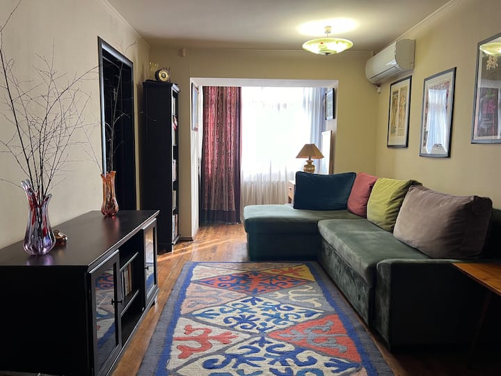 Cozy Two Room Apartment In The Center Bishkek - Bishkek