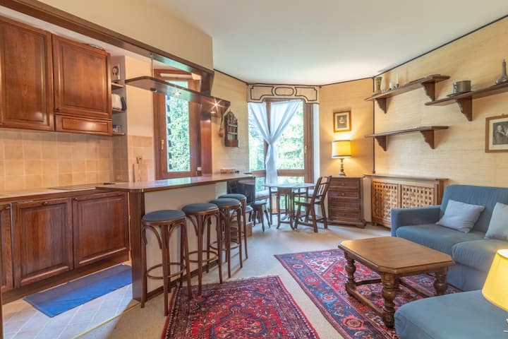 Bilocale Vicino Alle Funivie Con Wifi - As7 - Valtournenche