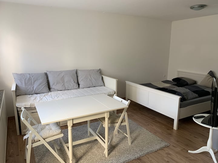 1 Zimmer-wohnung - Friedrichshafen