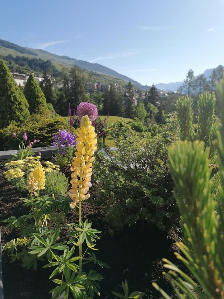 Apartment With Incredible Nice View - Vulpera