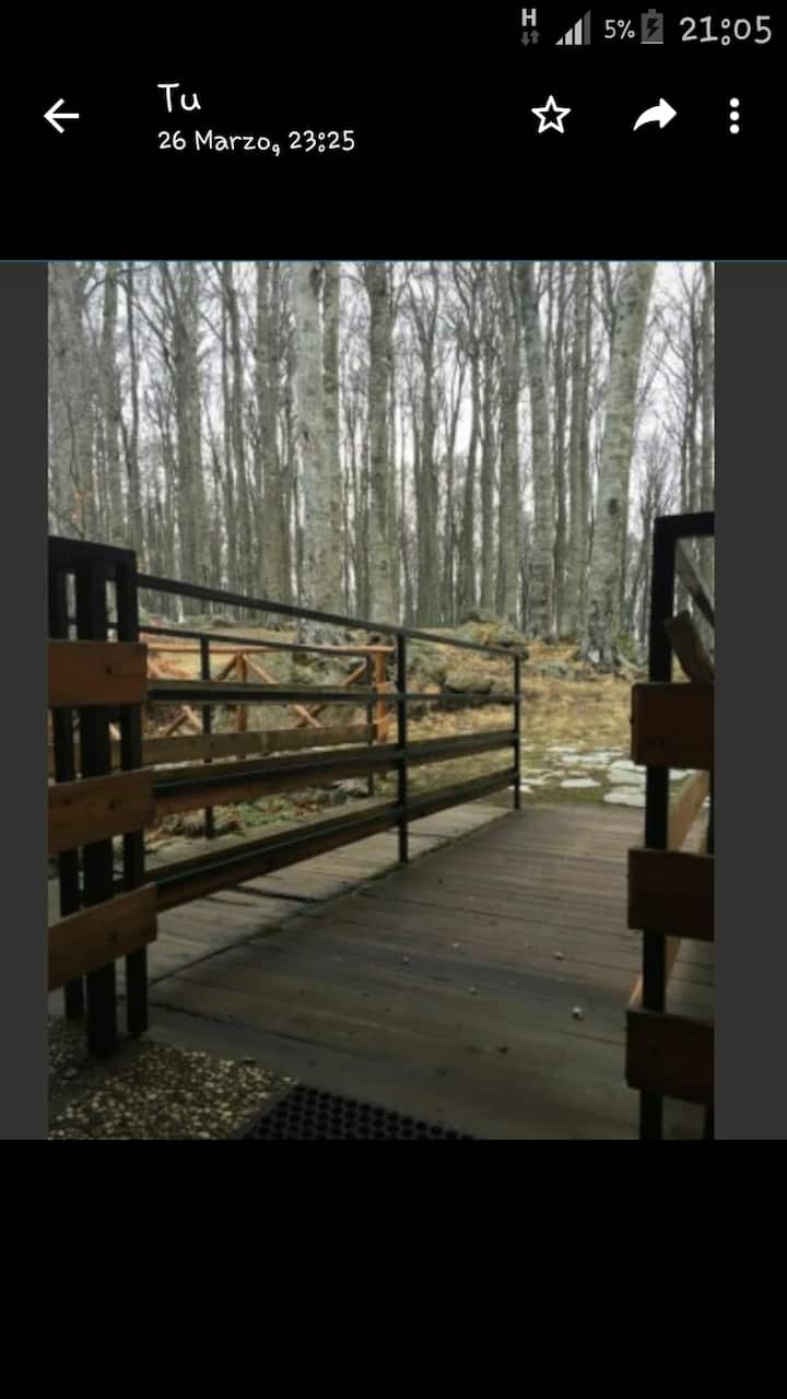 Monolocale Parco Dei Faggi - Monte Amiata