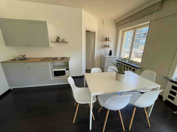 Ruim Appartement Met Zeezicht In Hartje Koksijde - La Panne