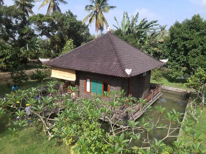 Natural House On The Pond 1 - Bali