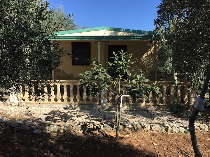 Casa Singola Recintata In Mezzo Agli Ulivi Puglia - Mattinata