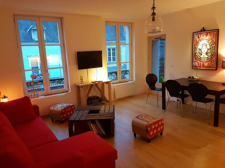 Bel Appartement Avec Terrasse Centre Ville - Bourges