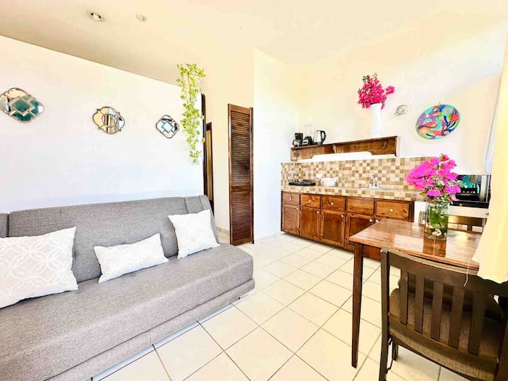 Downtown Tropical Oasis –&nbsp;5 Min Walk To The Marina - Cabo San Lucas