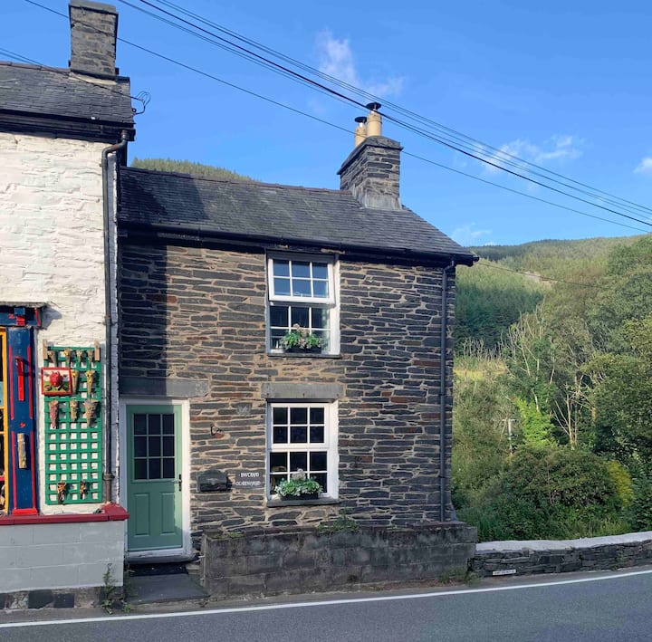 Corris Holiday Rentals & Homes - Wales, United Kingdom | Airbnb