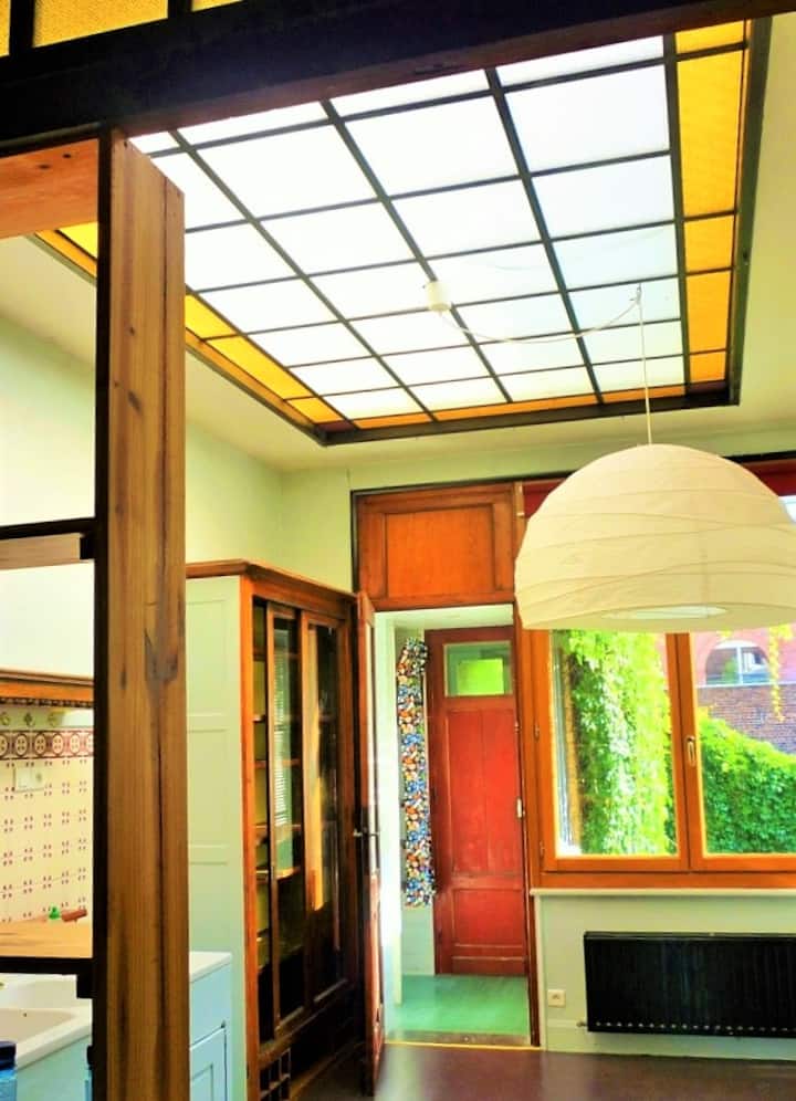 "Art Nouveau" Grand Appartement De Caractère - Lille