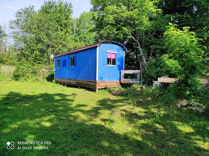 Tinyhouse Auf Dem Reiterhof Am See - Görlitz