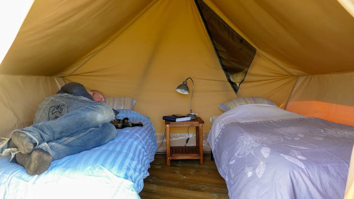Canadienne Sur Terrasse, Camping à La Ferme - Litteau