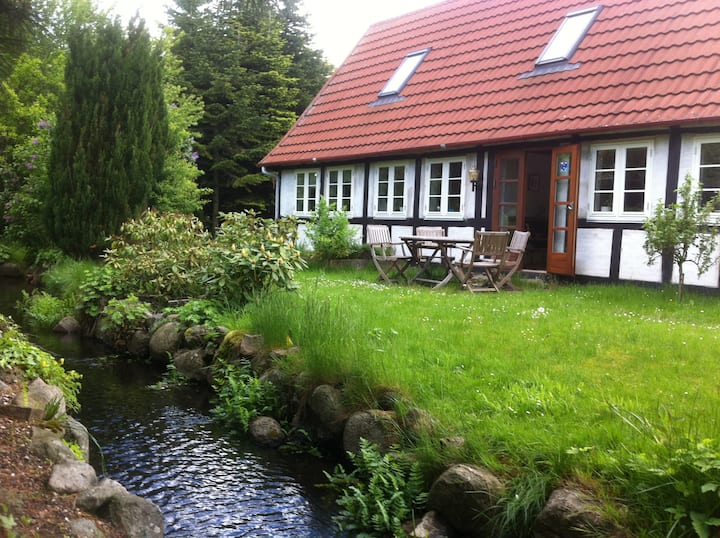 Roligt Landhus I Naturområde Og Tæt På Odense - Odense