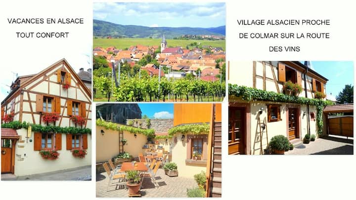 Gite Sylvaner-pinot - Kaysersberg