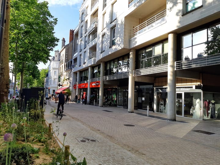 T1  Calme En Centre Ville Parking Et Terrasse - Tours
