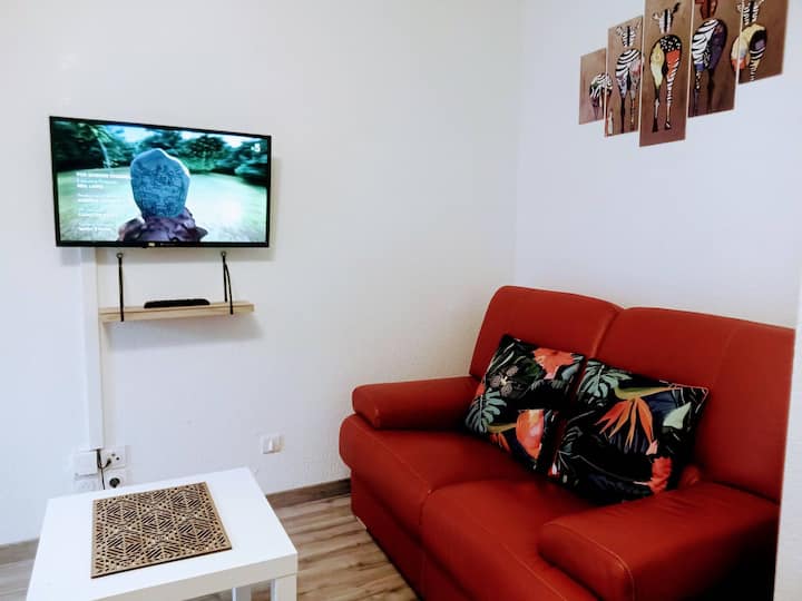 Joli Appartement Très Bien Situé, Parking Couvert - Lourdes