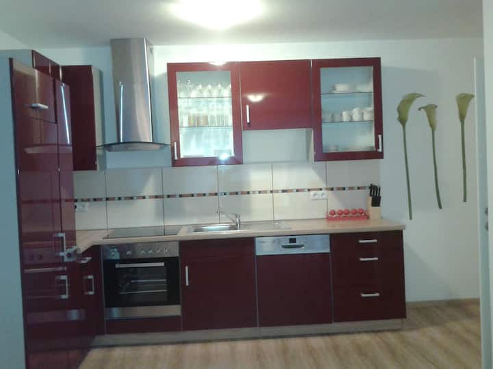 Haus Senel Eben Apartment B - Flachau