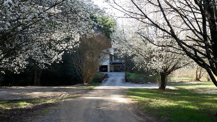 * Tame The Dragon/ Jacuzzi* Sleeps 6 - Chilhowee Lake, TN