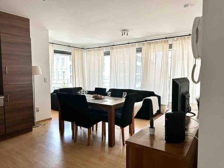 Light, Spacious Apartment In Center Of Brussels! - Brussels