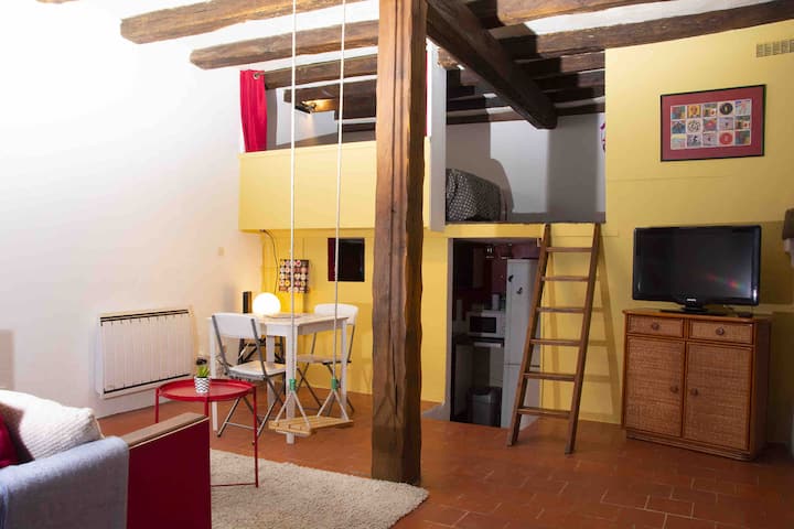 Centre Historique Tours Atypique Et Authentique ! - Tours