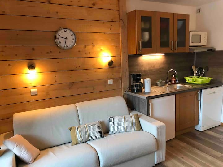 Superbe Appartement Hyper Centre - La Joue du Loup