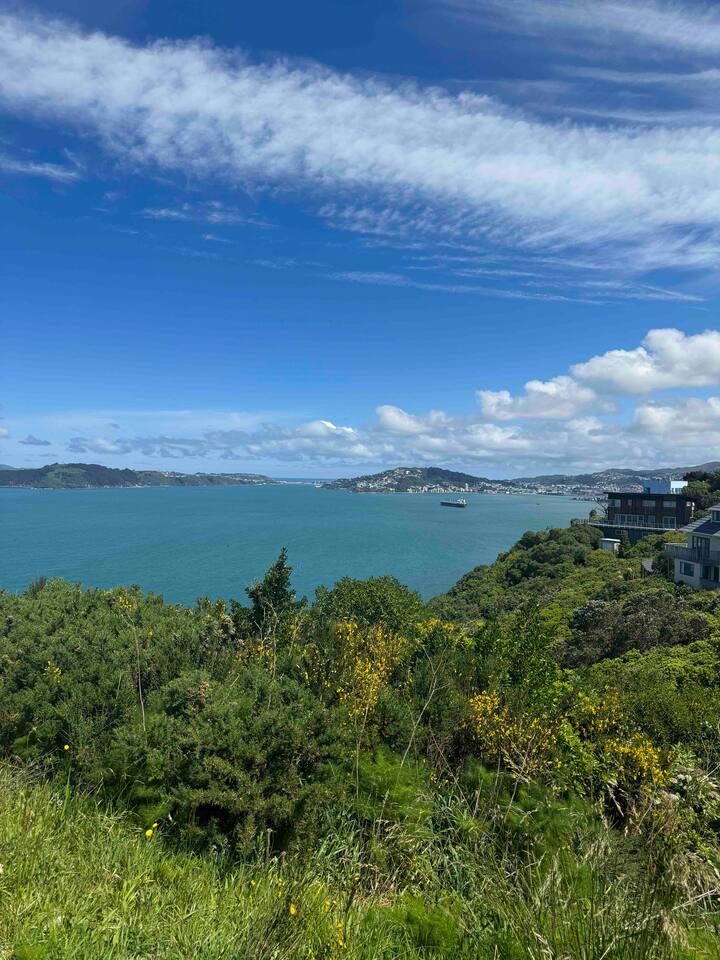 Overlooking Nauranga - Wellington
