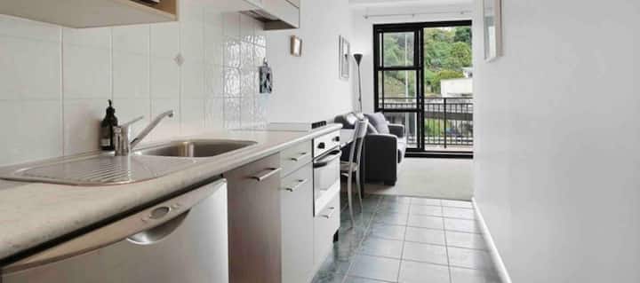 Cbd Apartment - Wellington