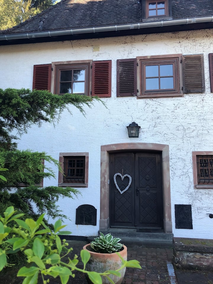 Room N°1 With Charm In A Design Country House - Freyming-Merlebach
