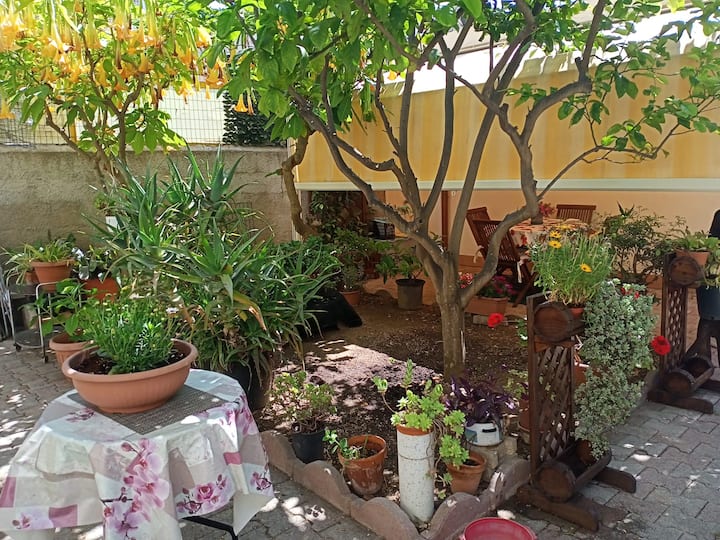 Monolocale In Centro Con Veranda Privata - Alghero