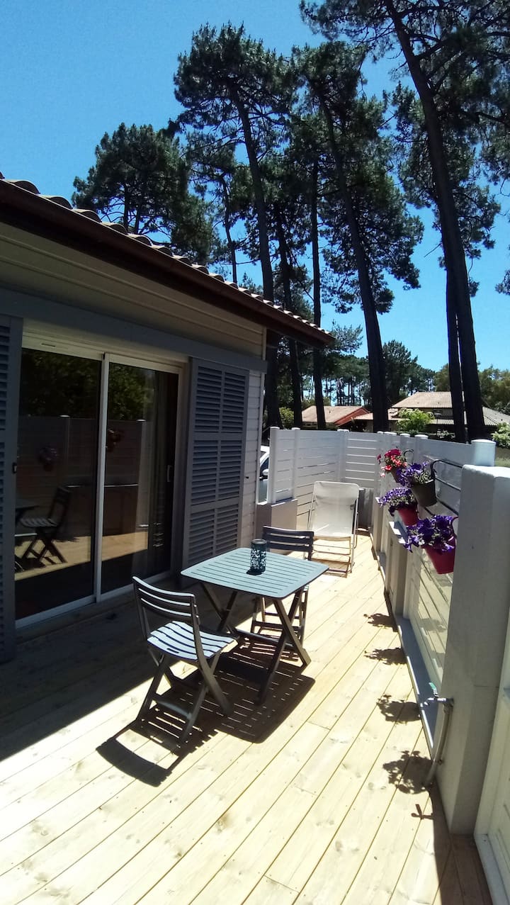 Cocon Entre Pins Et Océan - Soorts-Hossegor