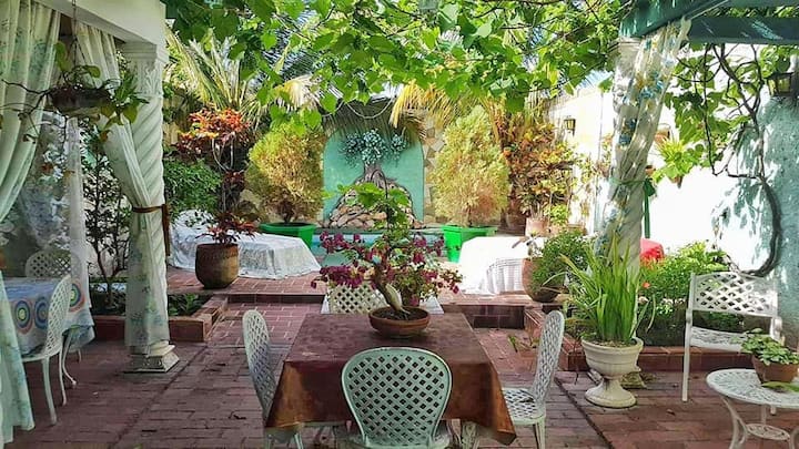 Oasis Urbano Con Piscina En El Centro - Cuba