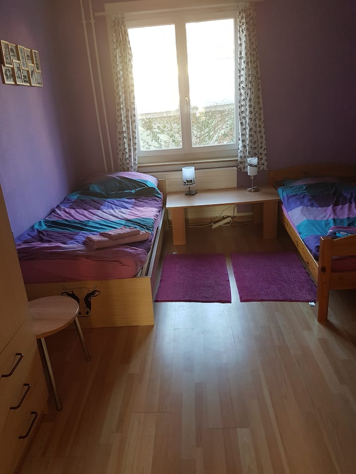 Cosy Room With Wifi And Tv - Aarau